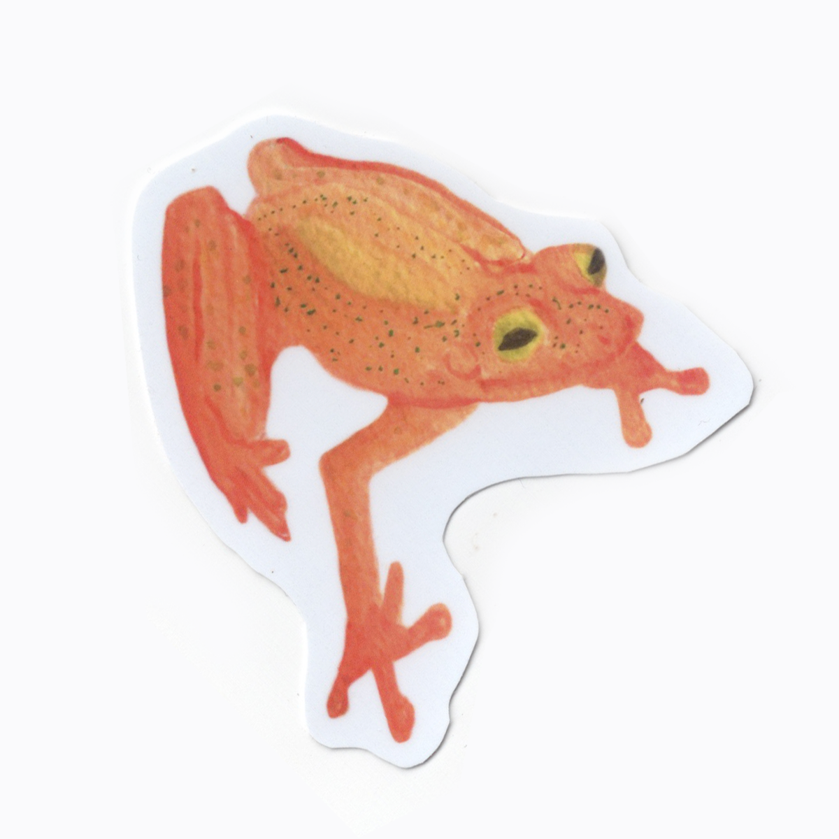 Watercolor Frog Stickers – Recspec Presents